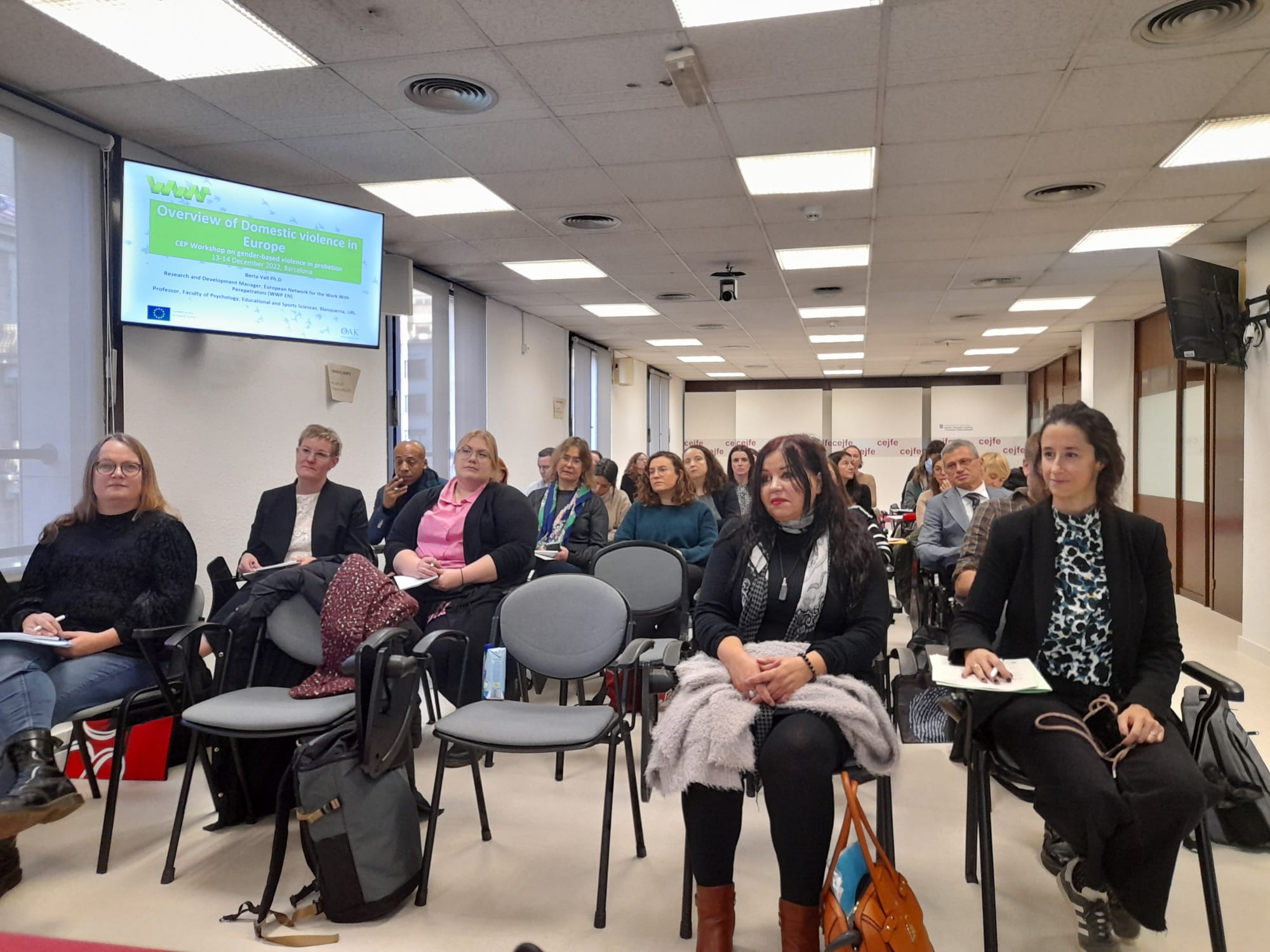 Recap Cep Workshop On Gender Based Violence In Probation Cep Probation