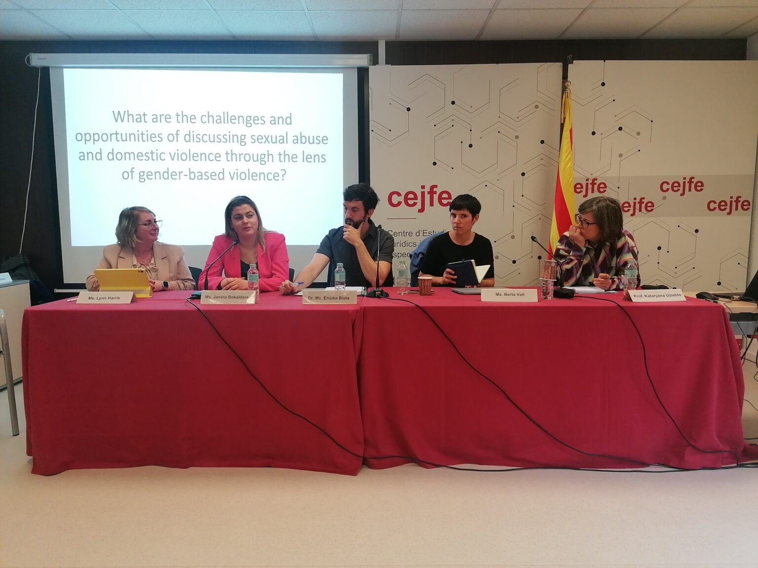 Recap Cep Workshop On Gender Based Violence In Probation Cep Probation