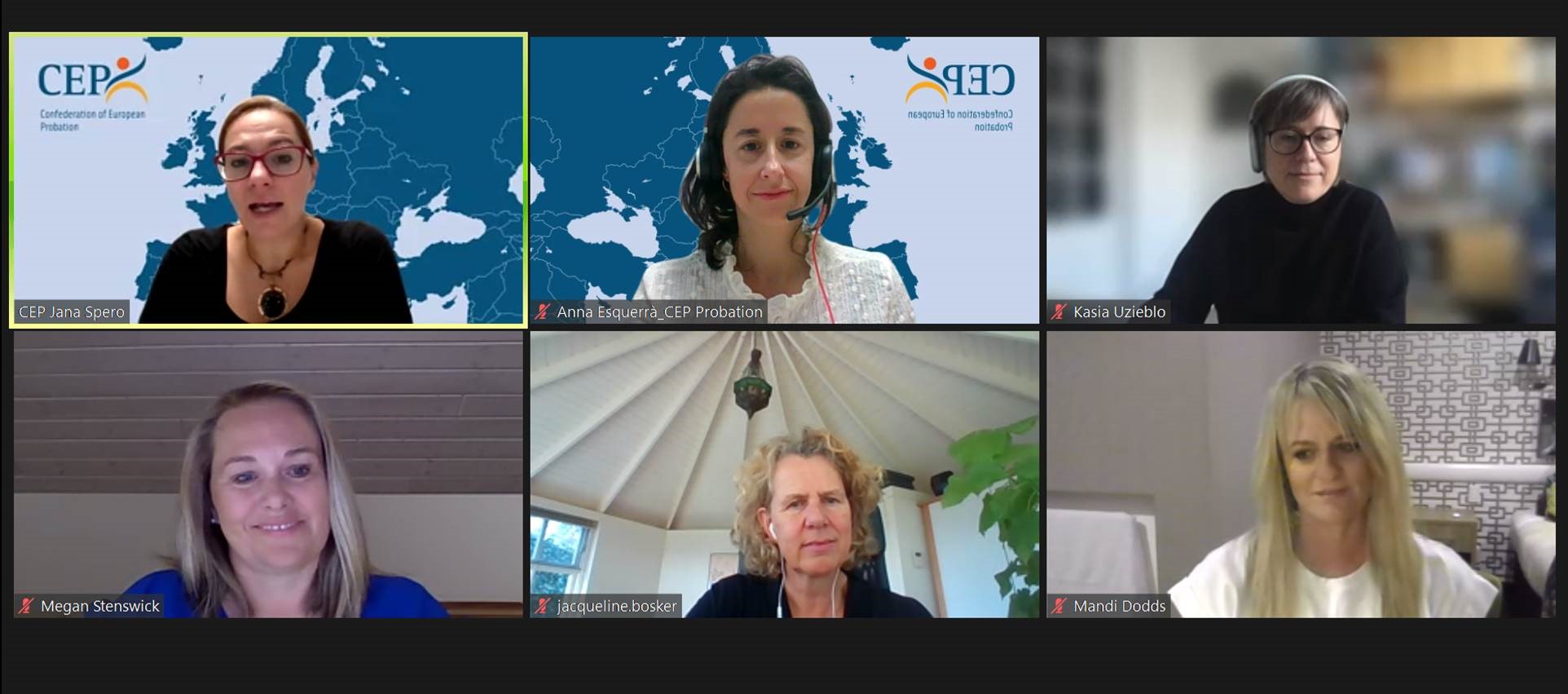 Webinar on Risk and Needs Assessment in Probation – CEP – Probation