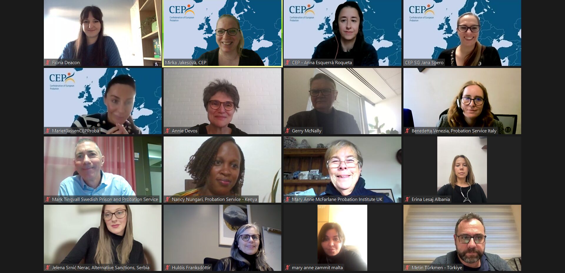 Recap: Webinar on Alternatives to Detention – CEP – Probation